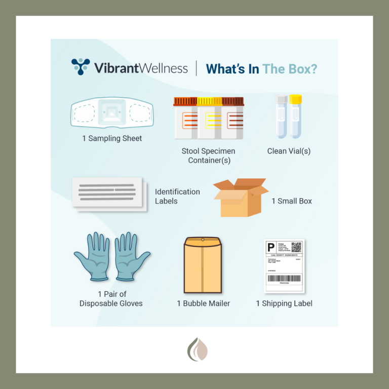 Gut Zoomer By Vibrant Wellness - Inkani Wellness